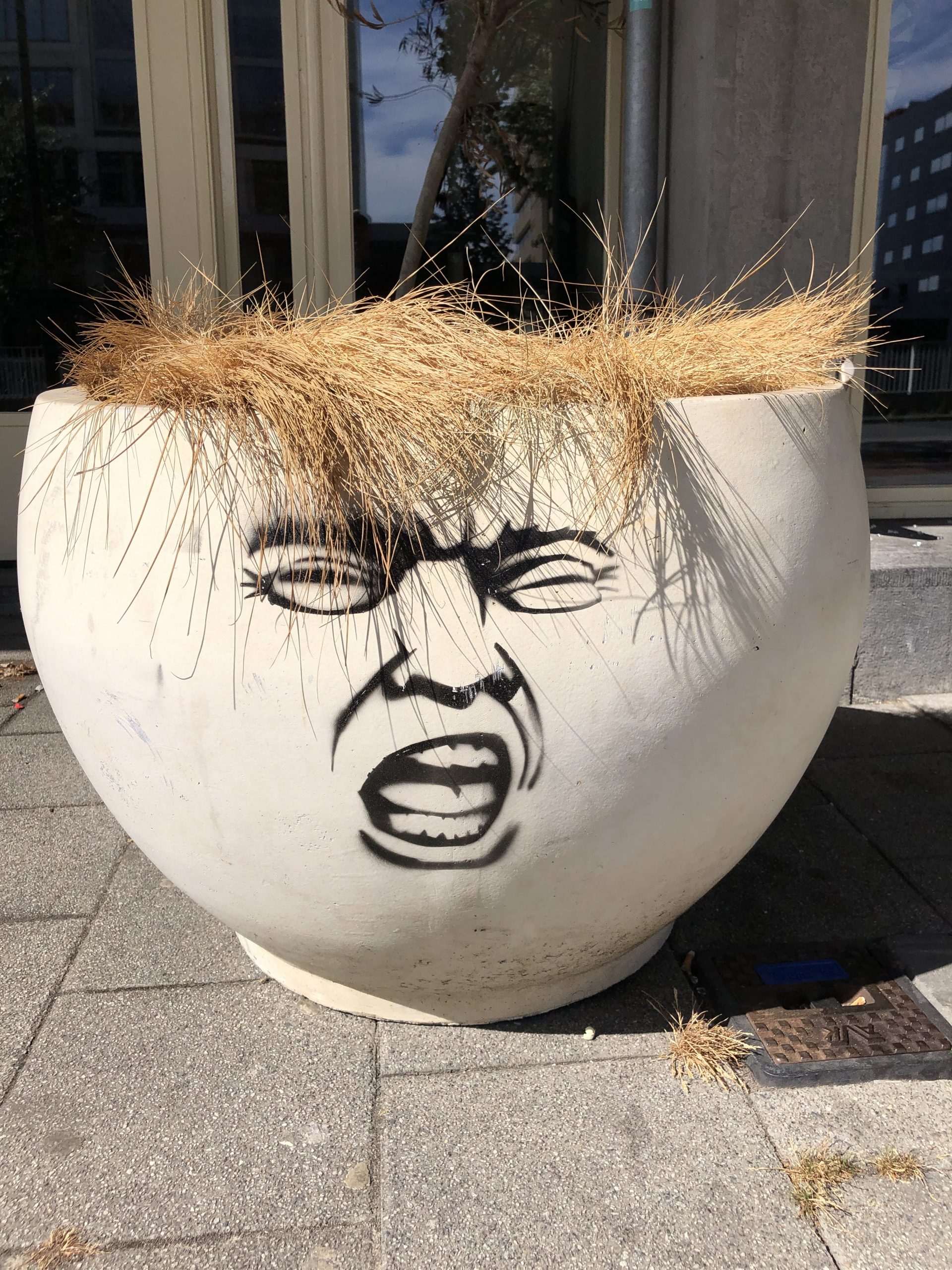 Trump Pot - #Wildsnoeier :-)